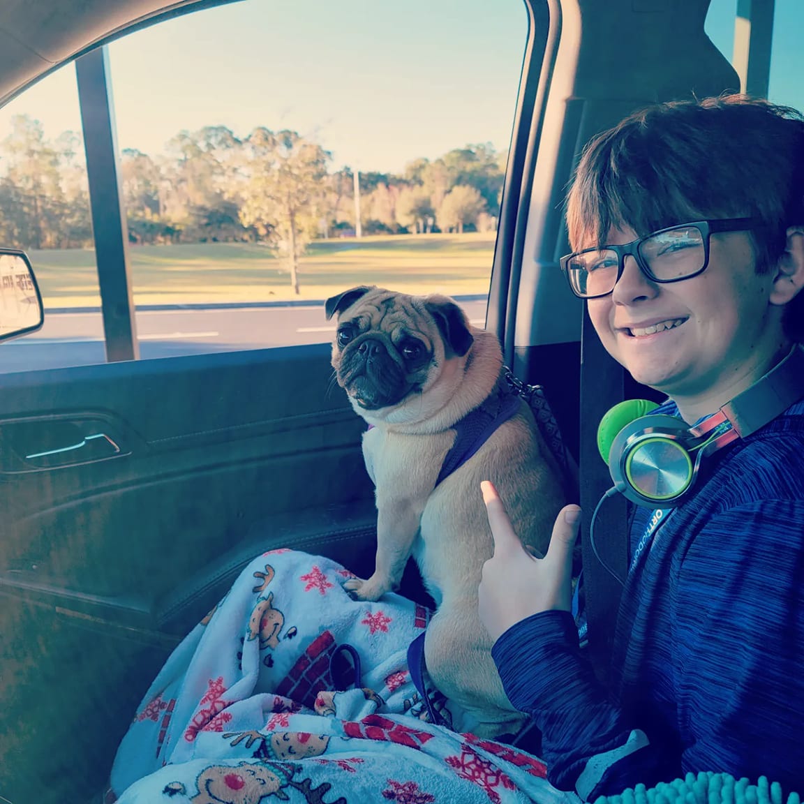 Pug Life - Honey The Pug... wicked cute ⋆ malarkey