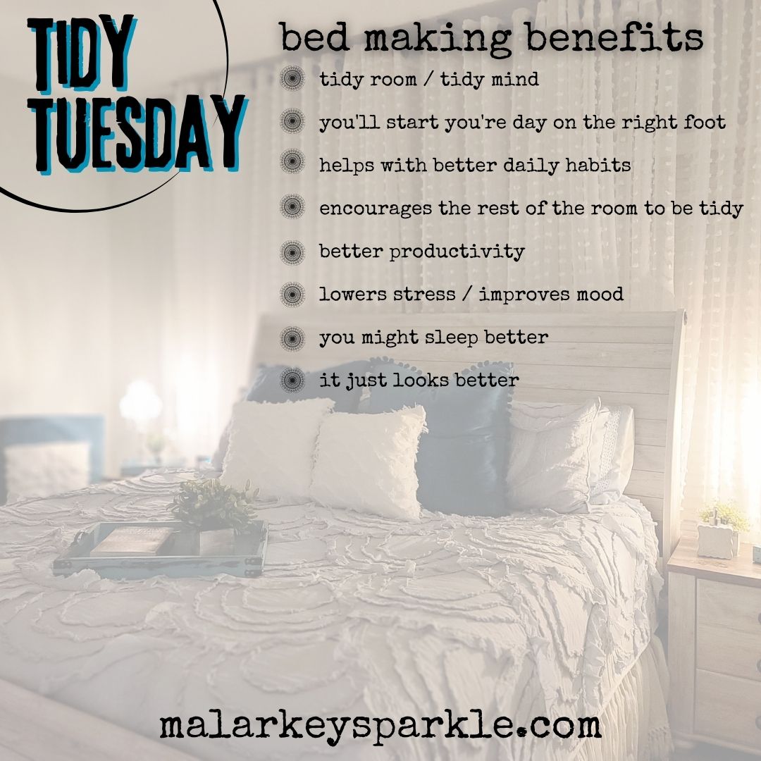Tidy Tuesday - someone has to do it ⋆ malarkey