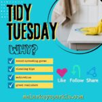 Tidy Tuesday - someone has to do it ⋆ malarkey